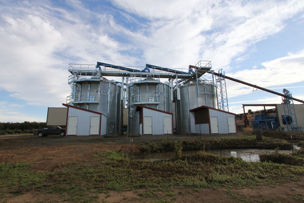 Hazelnut Dryers, Storage and Additional Processing Equipment - West ...